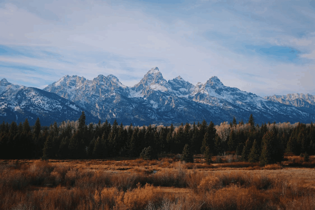 A guide to all 10 national seashores in the U.S. - Roadtrippers